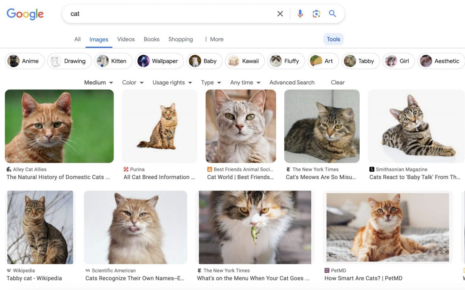 Google Search Engine Parameters and How to Use Them – DataForSEO