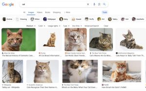Google Search Engine Parameters and How to Use Them – DataForSEO