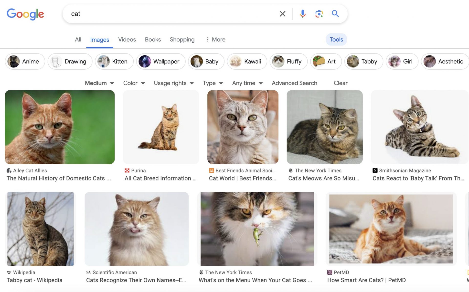 Google Search Engine Parameters and How to Use Them – DataForSEO